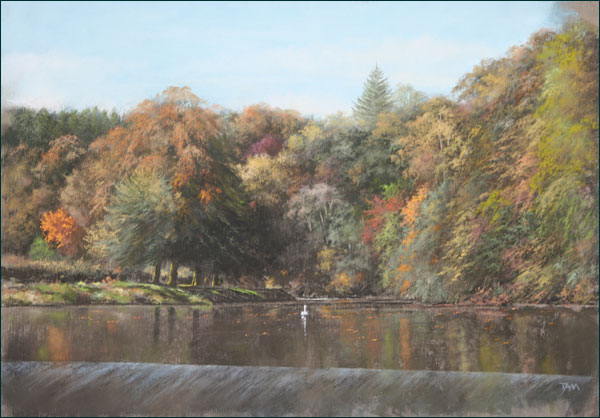 Autumn in Hawick Park by Sandy Milligan